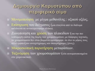 Καρυοτύπιση - karyotype | PPT