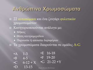 Καρυοτύπιση - karyotype | PPT