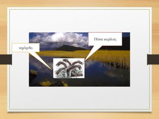 Λερναια ύδρα | PPT
