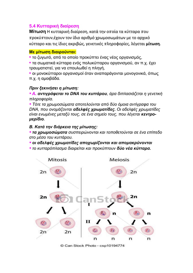 μιτωση μειωση βιολογια γ γυμνασιου | PDF