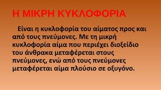 ΤΟ ΚΥΚΛΟΦΟΡΙΚΟ ΣΥΣΤΗΜΑ ΤΟΥ ΑΝΘΡΩΠΟΥ | PPT