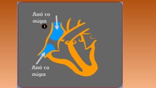 ΤΟ ΚΥΚΛΟΦΟΡΙΚΟ ΣΥΣΤΗΜΑ ΤΟΥ ΑΝΘΡΩΠΟΥ | PPT