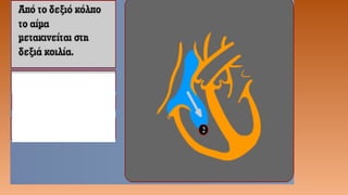 ΤΟ ΚΥΚΛΟΦΟΡΙΚΟ ΣΥΣΤΗΜΑ ΤΟΥ ΑΝΘΡΩΠΟΥ | PPT