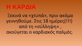 ΤΟ ΚΥΚΛΟΦΟΡΙΚΟ ΣΥΣΤΗΜΑ ΤΟΥ ΑΝΘΡΩΠΟΥ | PPT