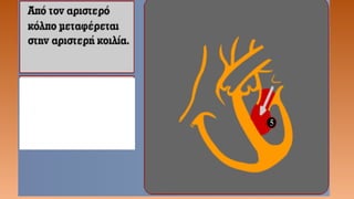 ΤΟ ΚΥΚΛΟΦΟΡΙΚΟ ΣΥΣΤΗΜΑ ΤΟΥ ΑΝΘΡΩΠΟΥ | PPT