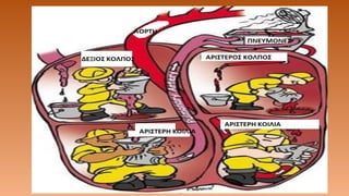 ΤΟ ΚΥΚΛΟΦΟΡΙΚΟ ΣΥΣΤΗΜΑ ΤΟΥ ΑΝΘΡΩΠΟΥ | PPT