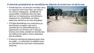 ο Κερκυραϊκός ελαιώνας και οι επιδοτήσεις | PPTX
