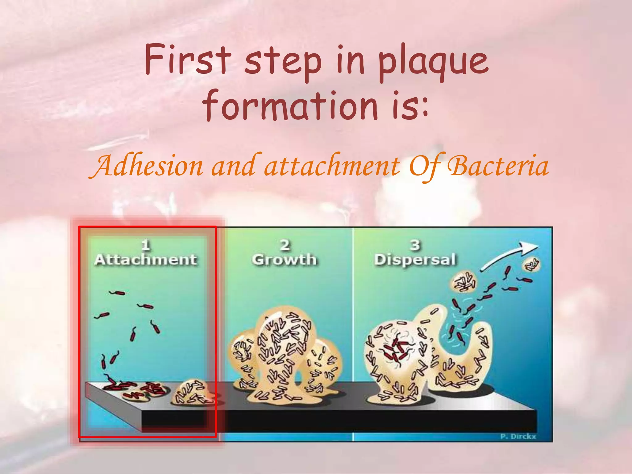 Dental plaque formation | PPTX