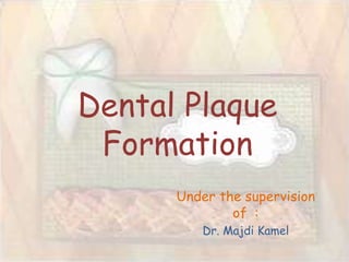 Dental Plaque Formation Animation