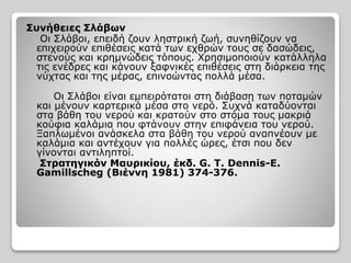 Oι Σλάβοι και οι σχέσεις τους με το Βυζάντιο | PPTX
