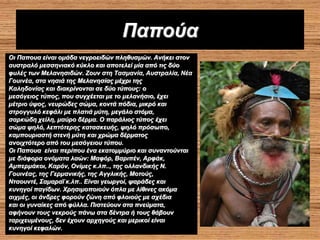 Αυτόχθονες λαοί... | PPSX