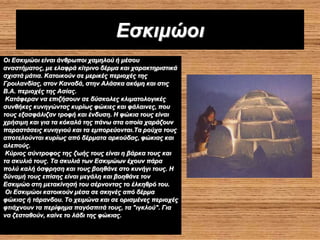 Αυτόχθονες λαοί... | PPSX