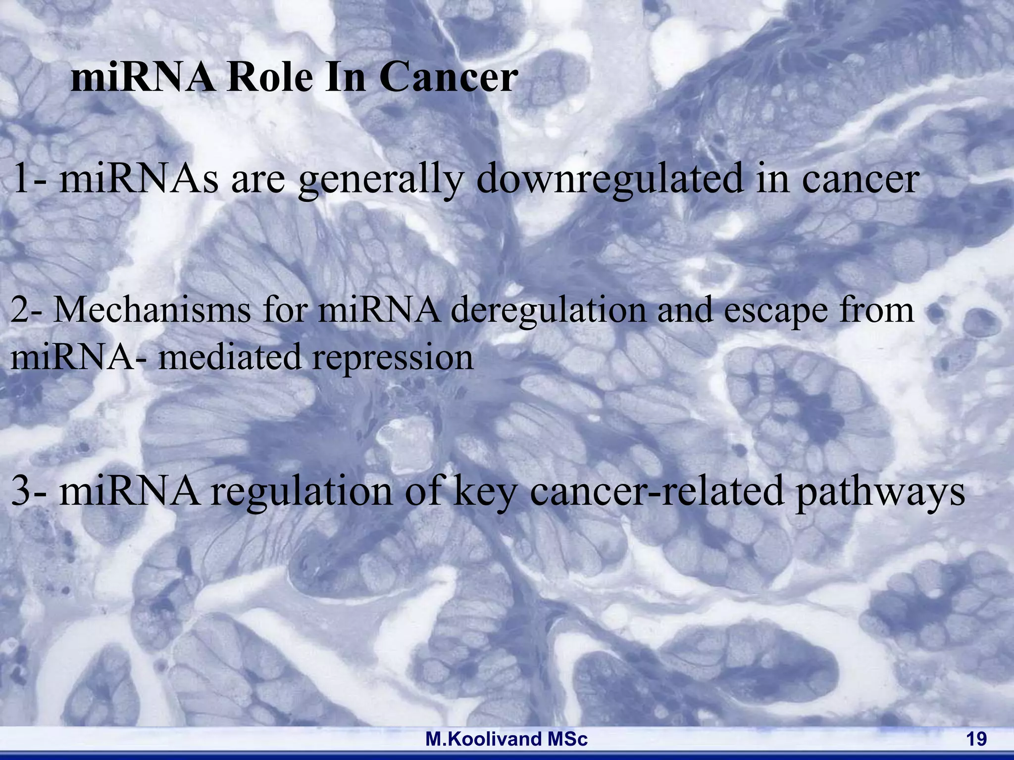the role of miRNA in cancer | PPTX