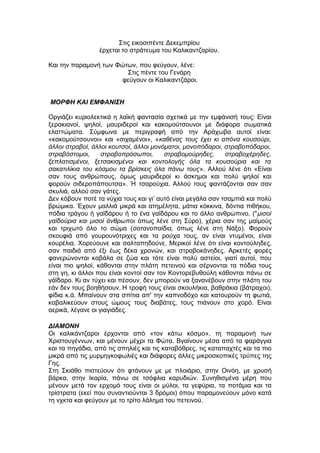 Καλικαντζαροι. 1doc | PDF