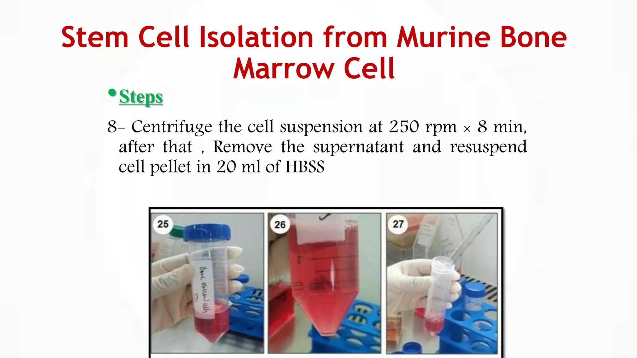 STEM CELL CULTURE | PPTX