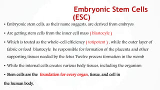 STEM CELL CULTURE | PPTX