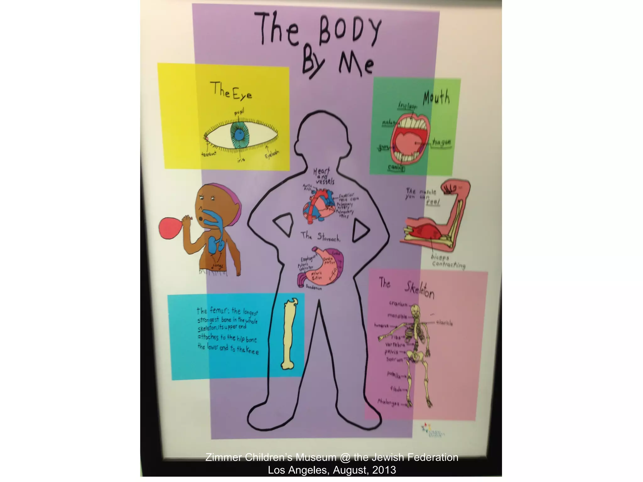 Pat Levitt: Neurodevelopmental Disorder Heterogeneity, Brain ...