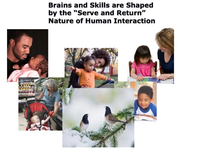 Pat Levitt: Neurodevelopmental Disorder Heterogeneity, Brain ...