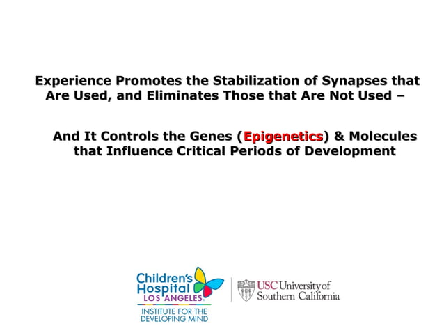 Pat Levitt: Neurodevelopmental Disorder Heterogeneity, Brain ...