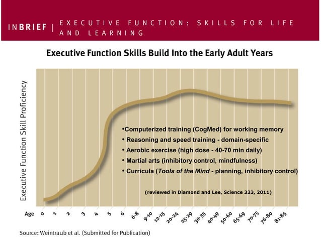 Pat Levitt: Neurodevelopmental Disorder Heterogeneity, Brain ...