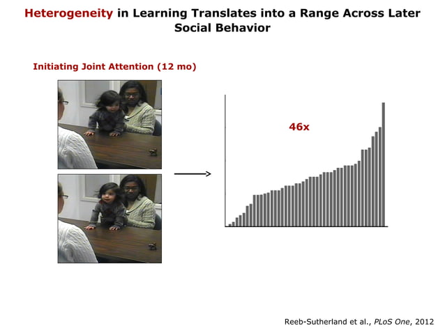 Pat Levitt: Neurodevelopmental Disorder Heterogeneity, Brain ...