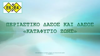 περιαστικο δασος 8 Δ Σχ Ροδου | PPS