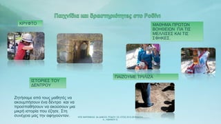 περιαστικο δασος 8 Δ Σχ Ροδου | PPT | Free Download