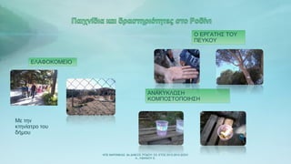 περιαστικο δασος 8 Δ Σχ Ροδου | PPT