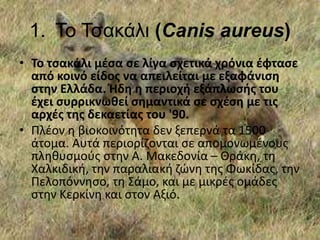 ζώα υπό εξαφάνιση στη ξηρά! | PPTX