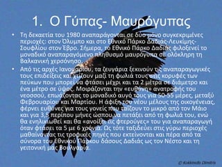 ζώα υπό εξαφάνιση στον αέρα | PPT