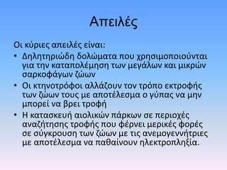 ζώα υπό εξαφάνιση στον αέρα | PPT