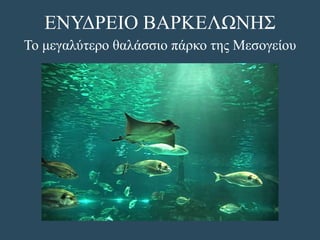 ΒΑΡΚΕΛΩΝΗ | PPTX