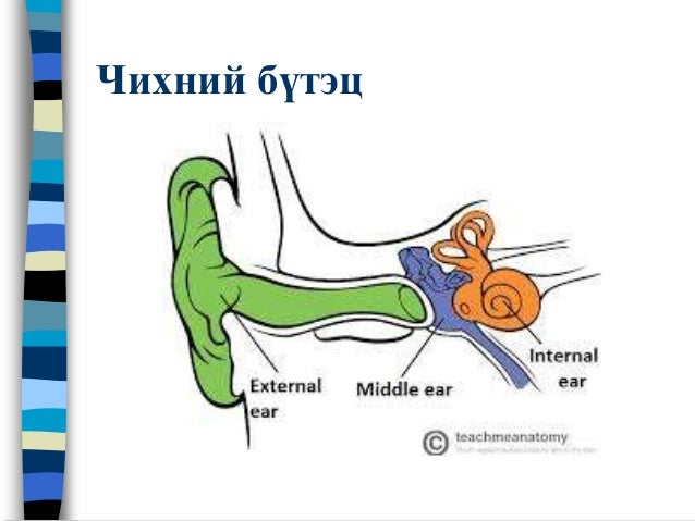 Дунд чихний архаг үрэвсэл