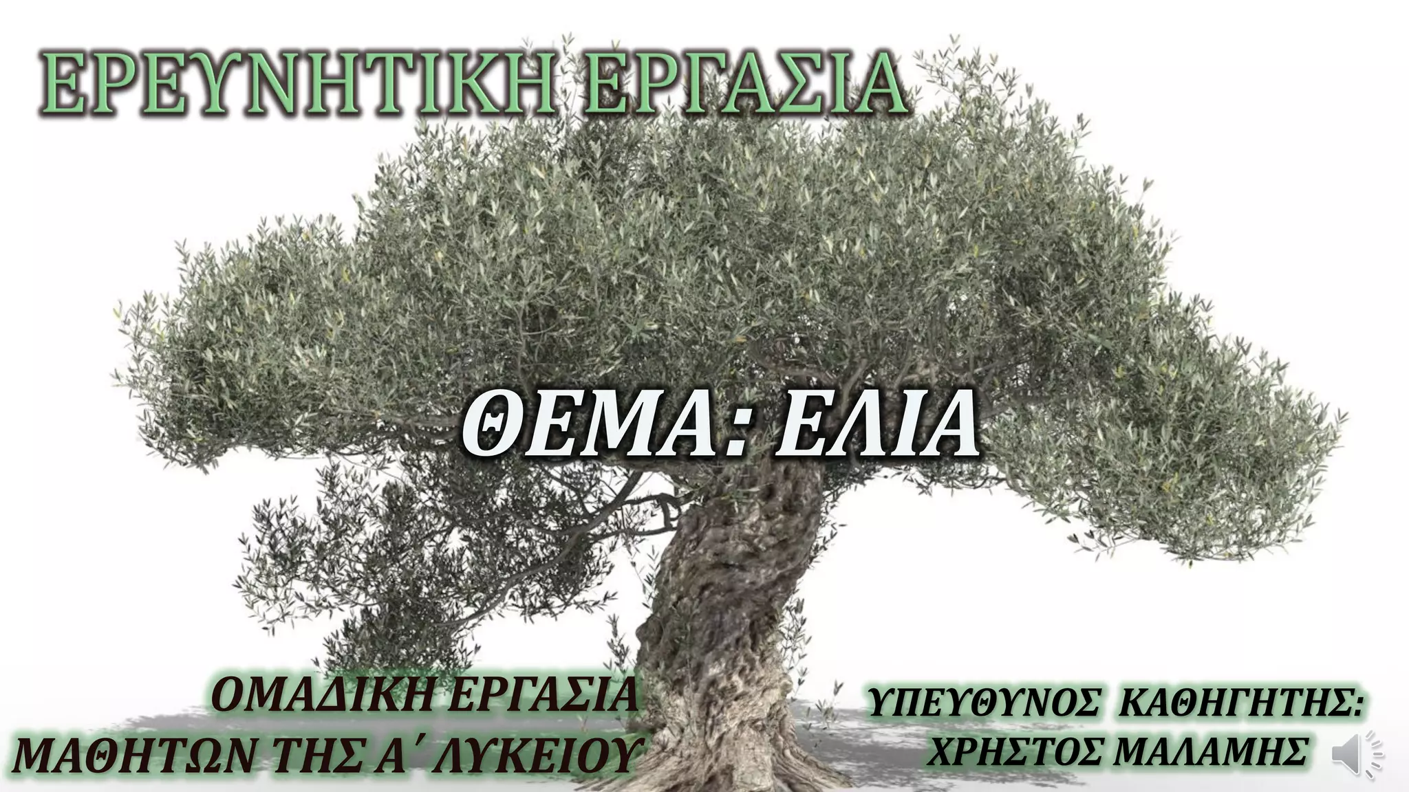 Ελιά | PDF