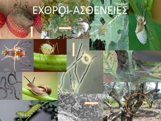 ασπαιτε.παδ2 | PPTX