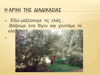 η ελια | PPT