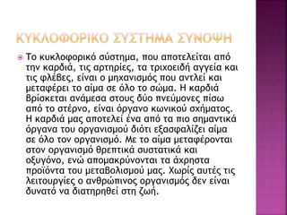 το κυκλοφορικό σύστημα Βαγγέλης Κάβουρας | PPTX