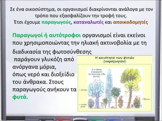 οικοσύστημα | PPT