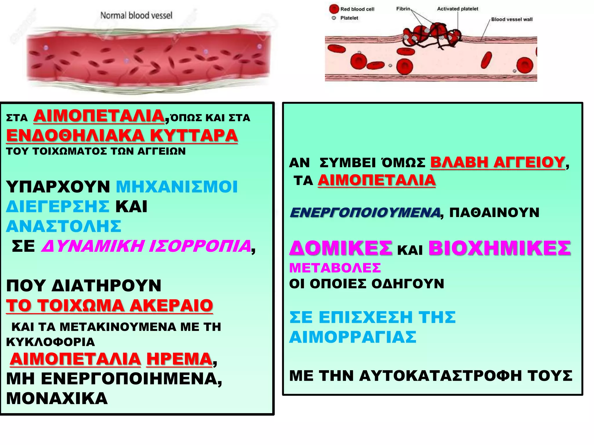 ΠΑΘΟΦΥΣΙΟΛΟΓΙΑ ΑΙΜΟΣΤΑΣΗΣ | PPTX