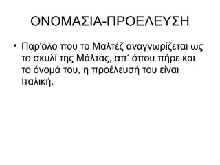 Μαλτέζ | PPT