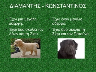 Διαμαντής - Κωνσταντίνος | ODP