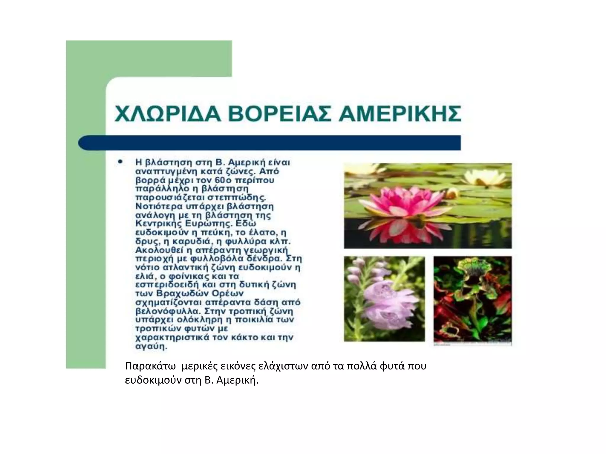 χλωριδα και πανιδα της αμερικης | PPTX