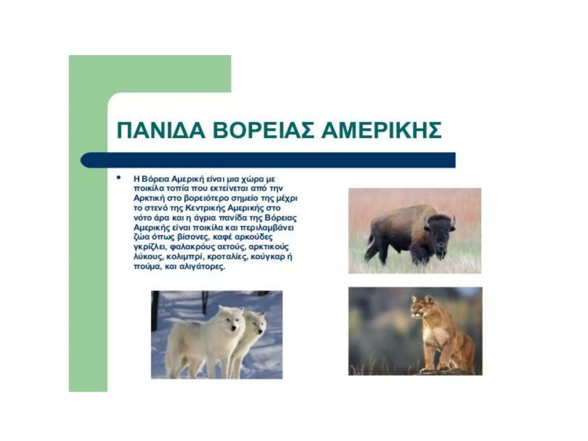 χλωριδα και πανιδα της αμερικης | PPTX
