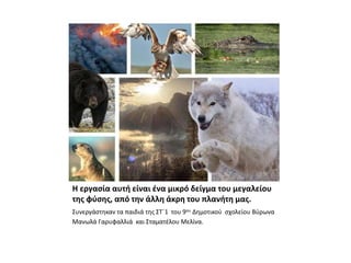 χλωριδα και πανιδα της αμερικης | PPTX