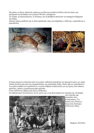 Τίγρης | DOCX