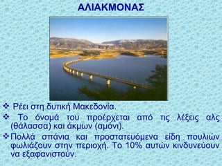 Οι ποταμοί της Ελλάδας | PPT