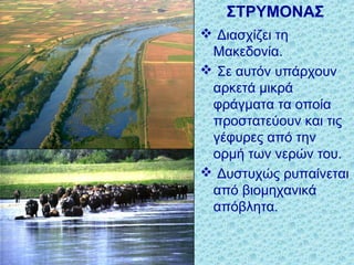 Οι ποταμοί της Ελλάδας | PPT