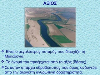 Οι ποταμοί της Ελλάδας | PPT