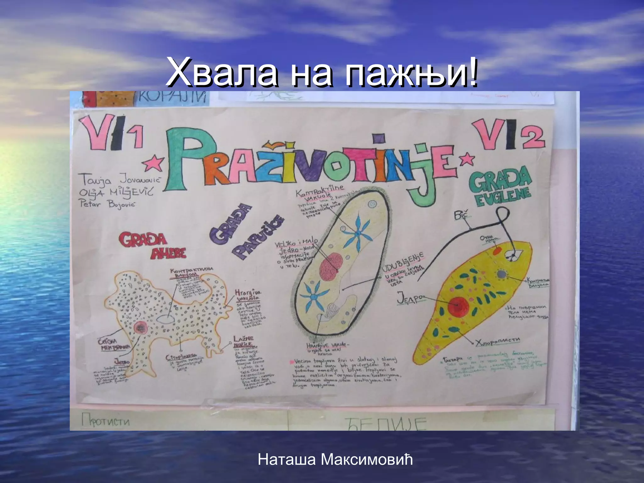 праживотиње | PPT