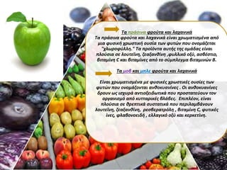 εργ. οικ.οικ. φρούτα και λαχανικά | PPTX